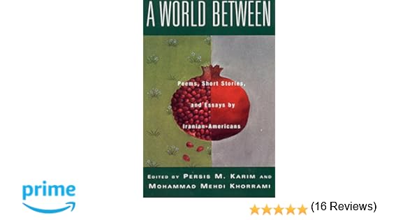 A World Without Mathematics Essay